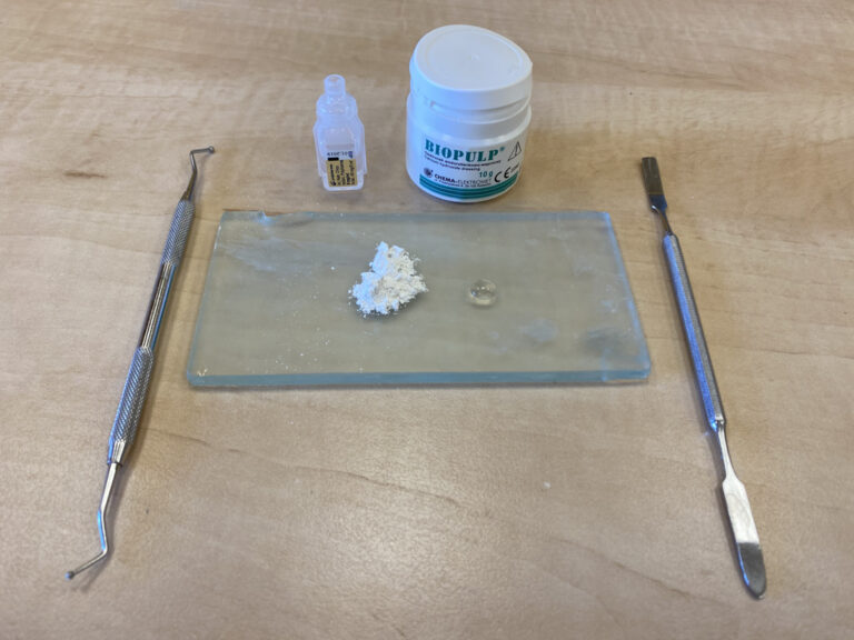 Jaki był ten 2 rok stomatologii na UMP? część 1/3- przedkliniki - Pinkdentistt